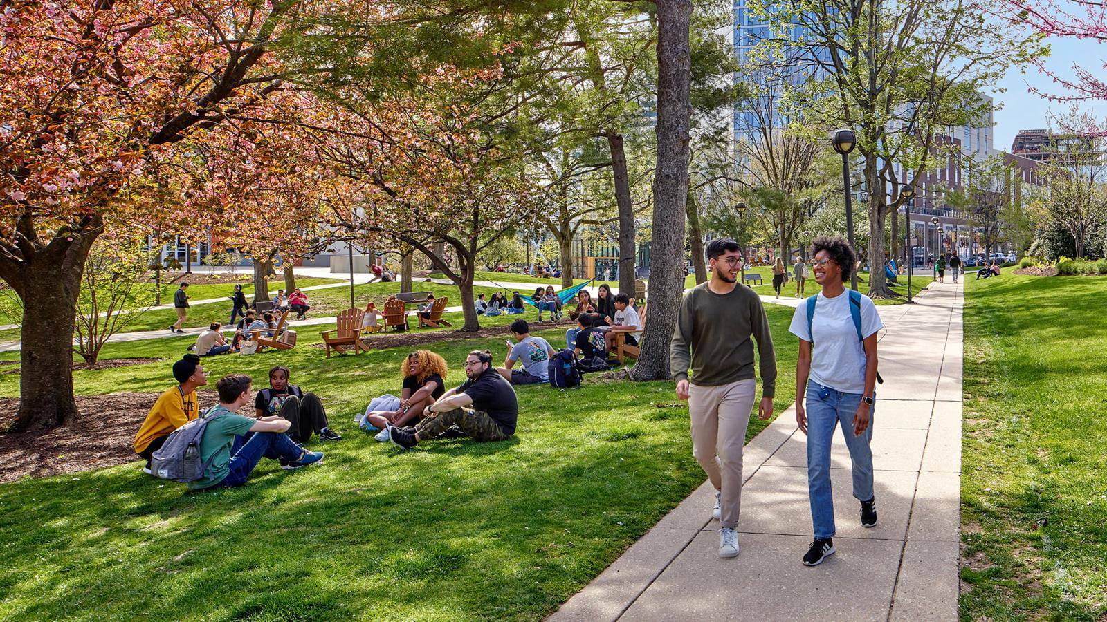 Enrollment Management