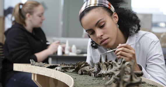 Field Work & Research