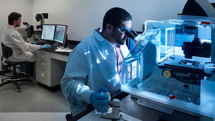 School of Biomedical Engineering, Science and Health Systems