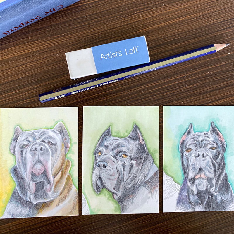 ‘Paws’itive Art Contest Digs Up Art by Drexel Dragons