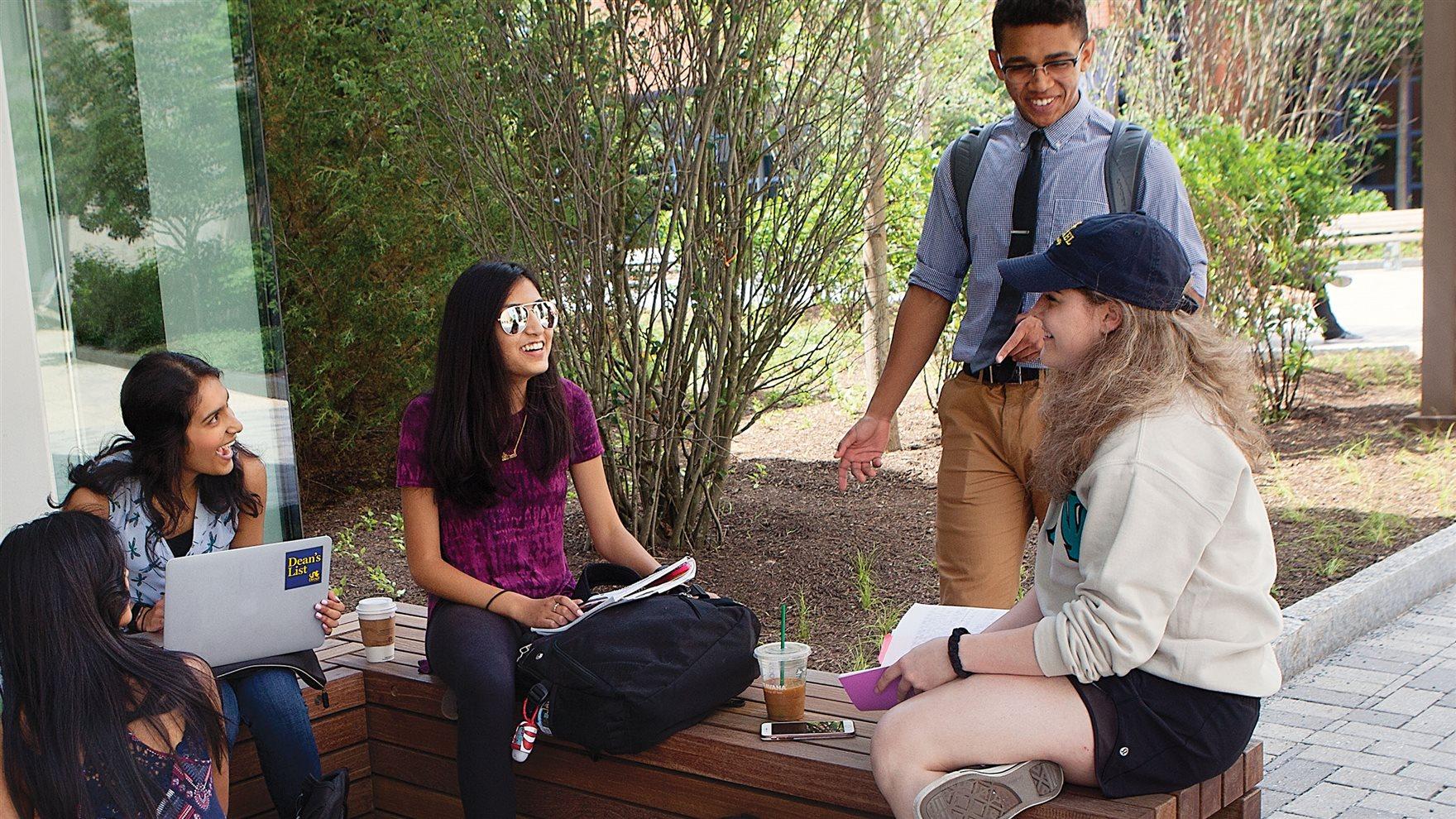 Undergraduate Programs