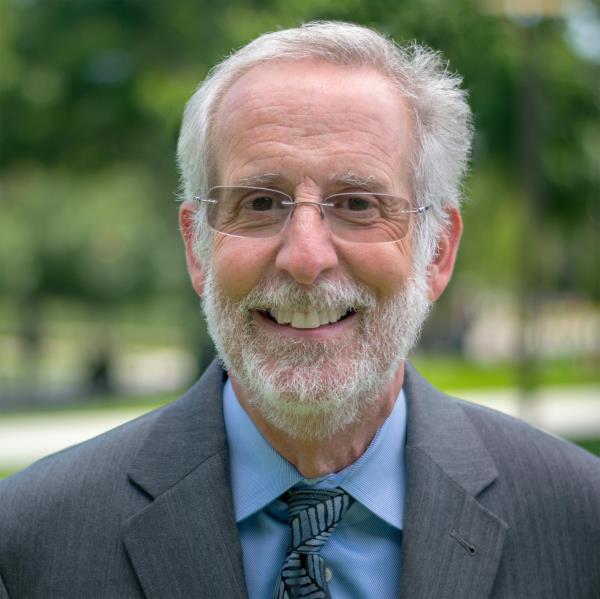 Faculty Fellows | Center for the Advancement of STEM Teaching ...