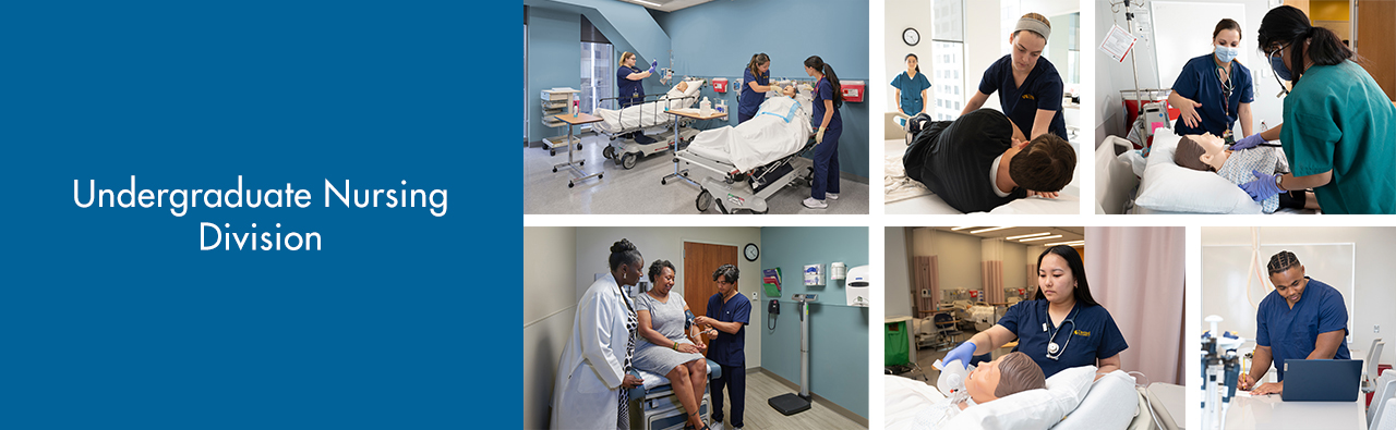 Undergraduate Nursing | College of Nursing and Health Professions ...