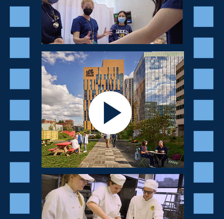 Doctor of Physical Therapy | College of Nursing and Health Professions ...