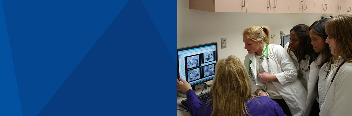 Continuing Education | College of Nursing and Health Professions ...