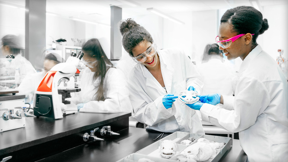 Biology Resource Center | CoAS | Drexel University