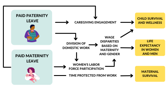 Maternal, infant, child, and adolescent health in Latin American cities ...