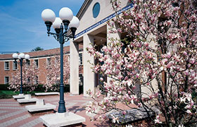 Libraries | Drexel University