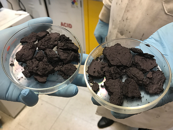 Material Witnesses — Researchers Around the World Are Delving Into ...