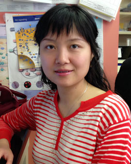Yan-Chun Li, MD, PhD: Neurobiology & Anatomy - Drexel University ...