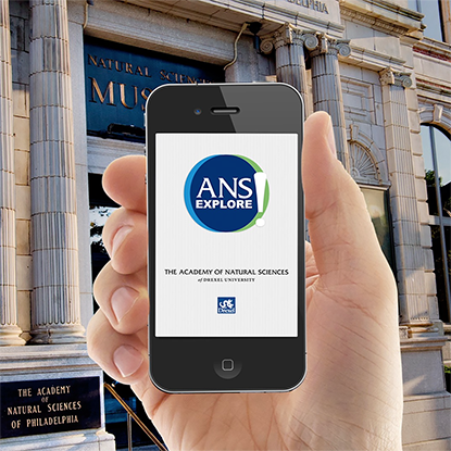 ANS Explore | Drexel Westphal